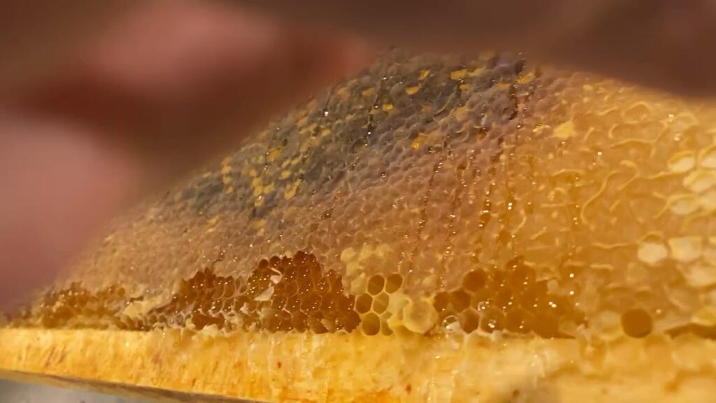 Raw Combed Honey – Fuller Bee Supply
